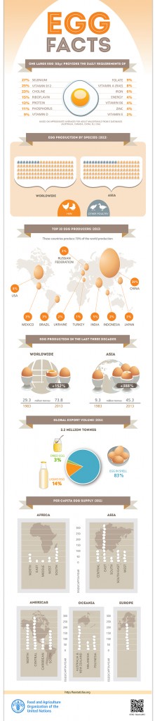 Infographic: Egg Facts | TopForeignStocks.com