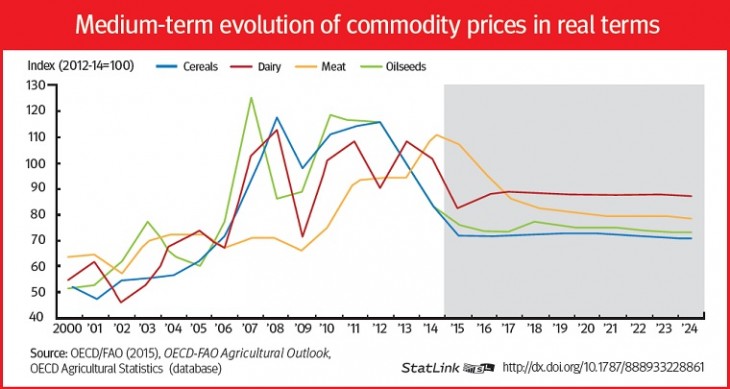 OECD: Food Prices Are On A Downward Trend | TopForeignStocks.com