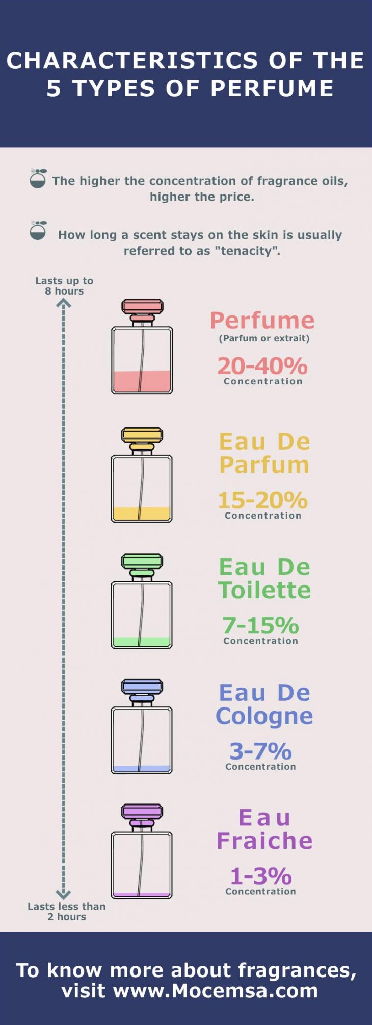 On The Different Types of Perfume: Infographic | TopForeignStocks.com
