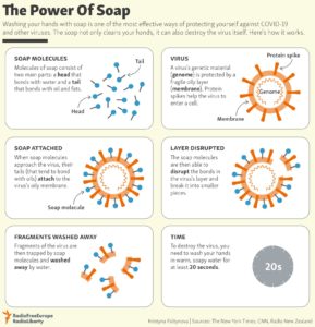 The Power of Soap: Infographic | TopForeignStocks.com