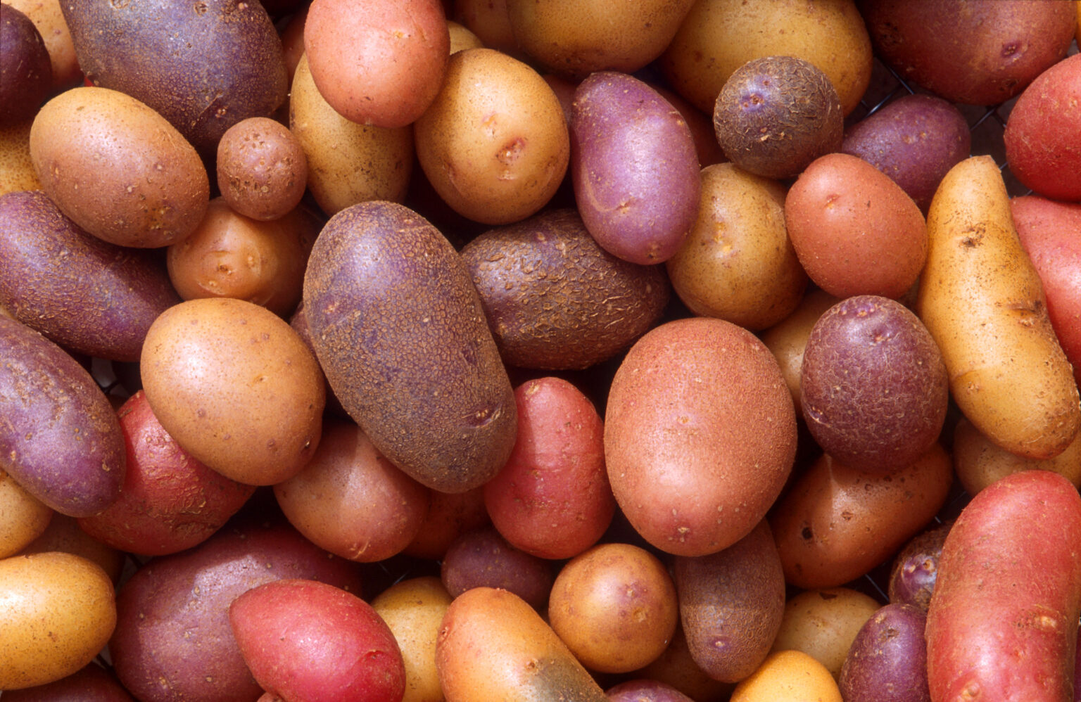 The Top Potato Eating Countries: InfographicTopForeignStocks.com